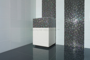 Feature Bathrooms - Aqualine Wellness