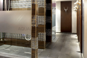 Feature Showers - Aqualine Wellness