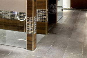 Feature Showers - Aqualine Wellness