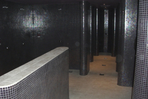 Feature Showers - Aqualine Wellness