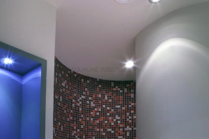 Feature Showers - Aqualine Wellness